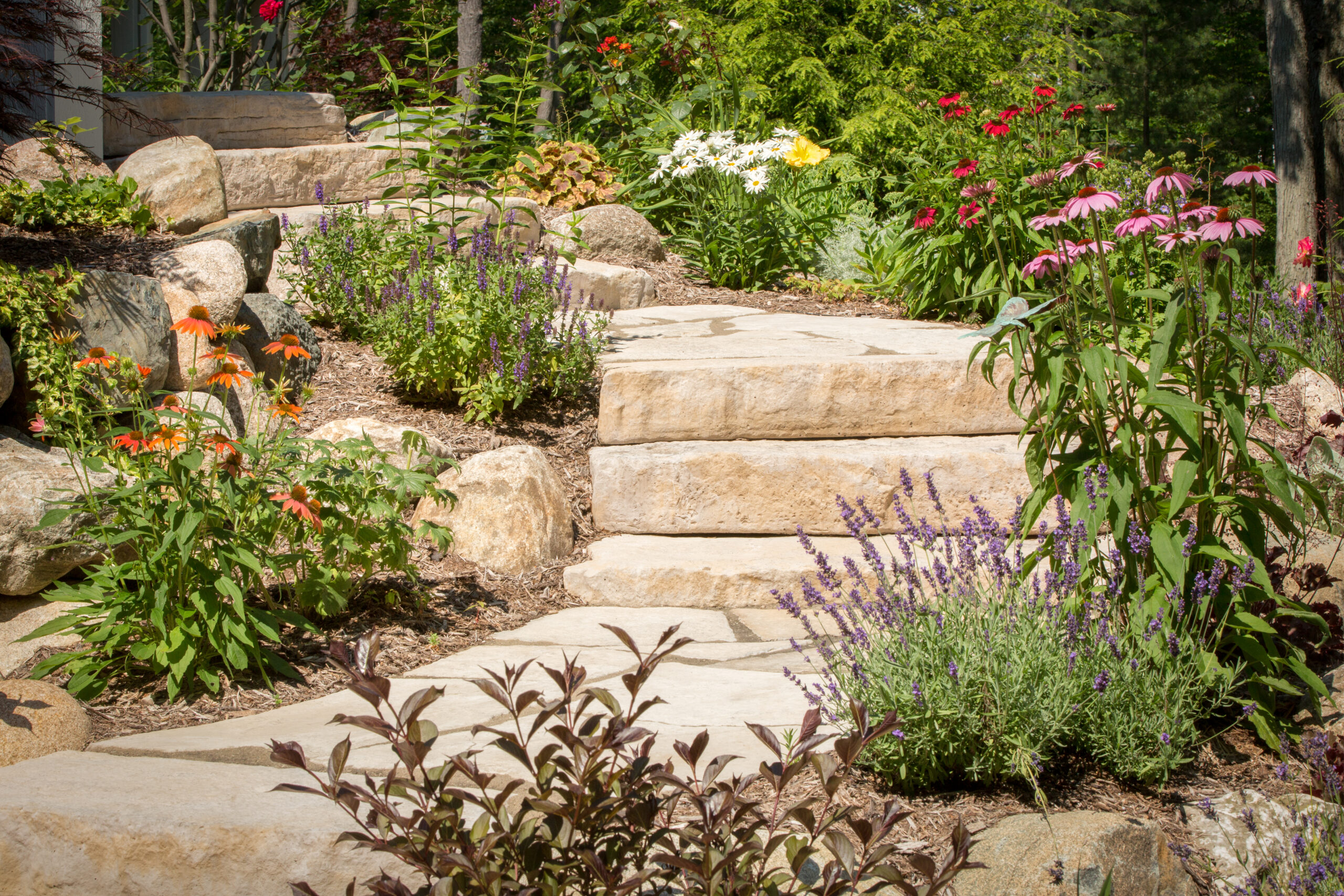 36" Dimensional Step, Buff - Georgia Landscape Supply