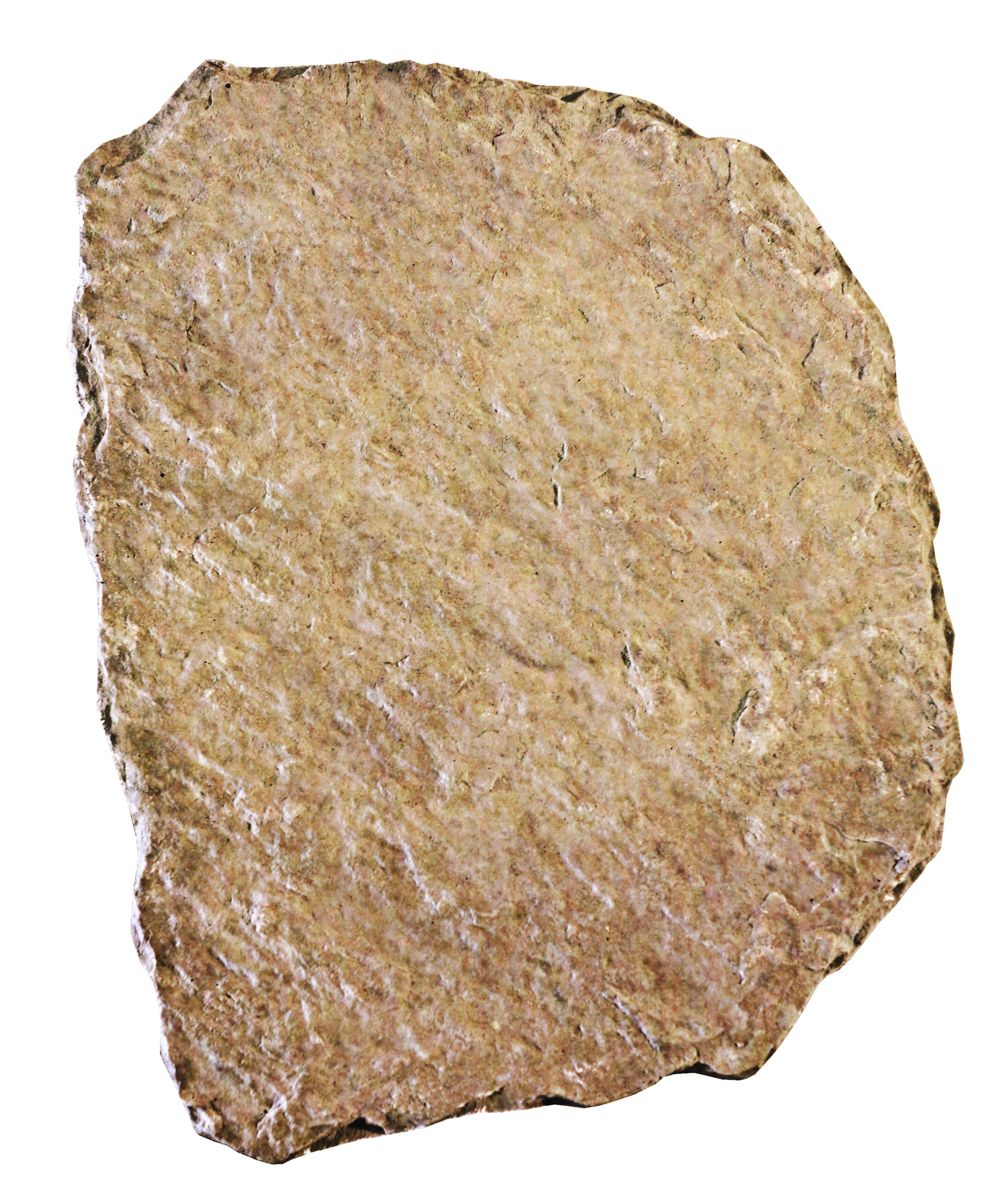 Superior Stepper, Buff - Georgia Landscape Supply